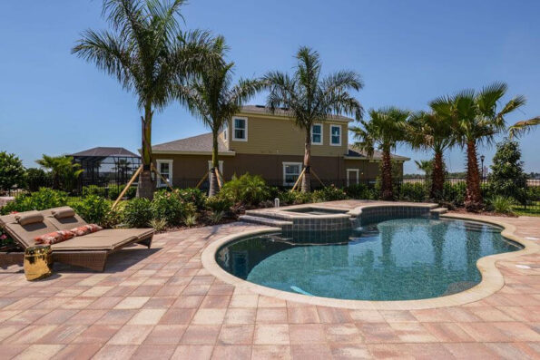 A Guide on Basic Water Chemistry for Swimming Pools | Tampa Bay Pools