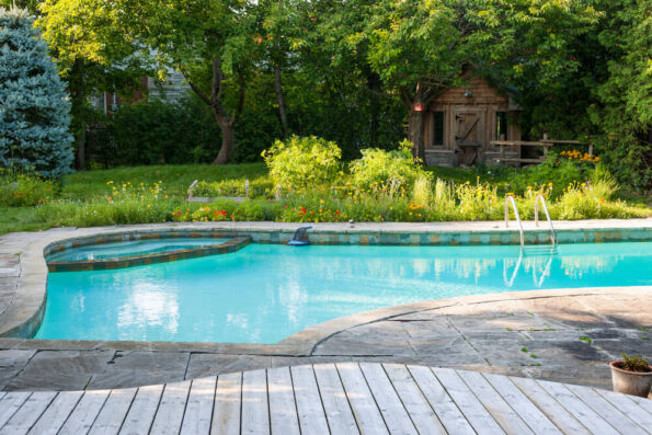 Top Ideas for Incorporating Lush Greenery Around Your Pool - Tampa Bay ...